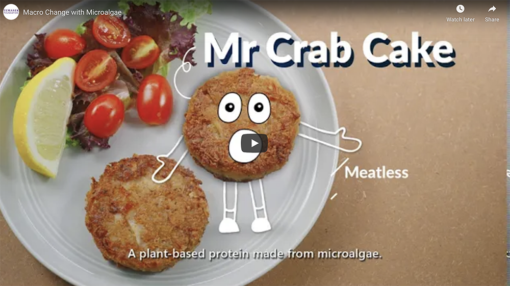 Microalgae: The Future of Food?